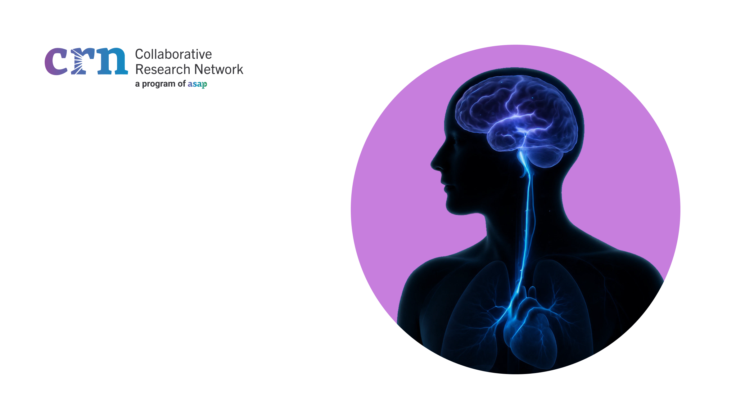 Circuitry and Brain-Body Interactions - ASAP CRN